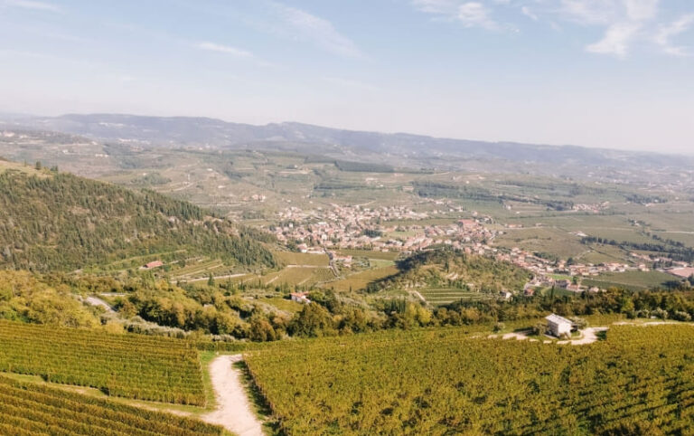 Allegrini family, a symbol of Valpolicella Classica