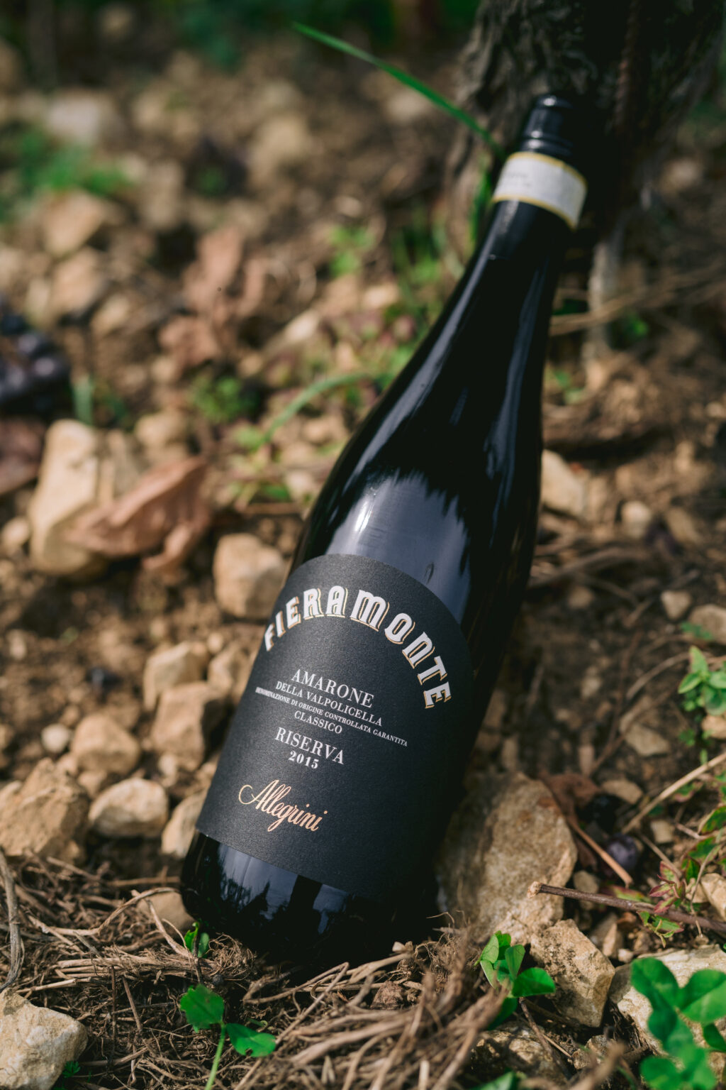 100 points by Decanter for Amarone Fieramonte - Allegrini